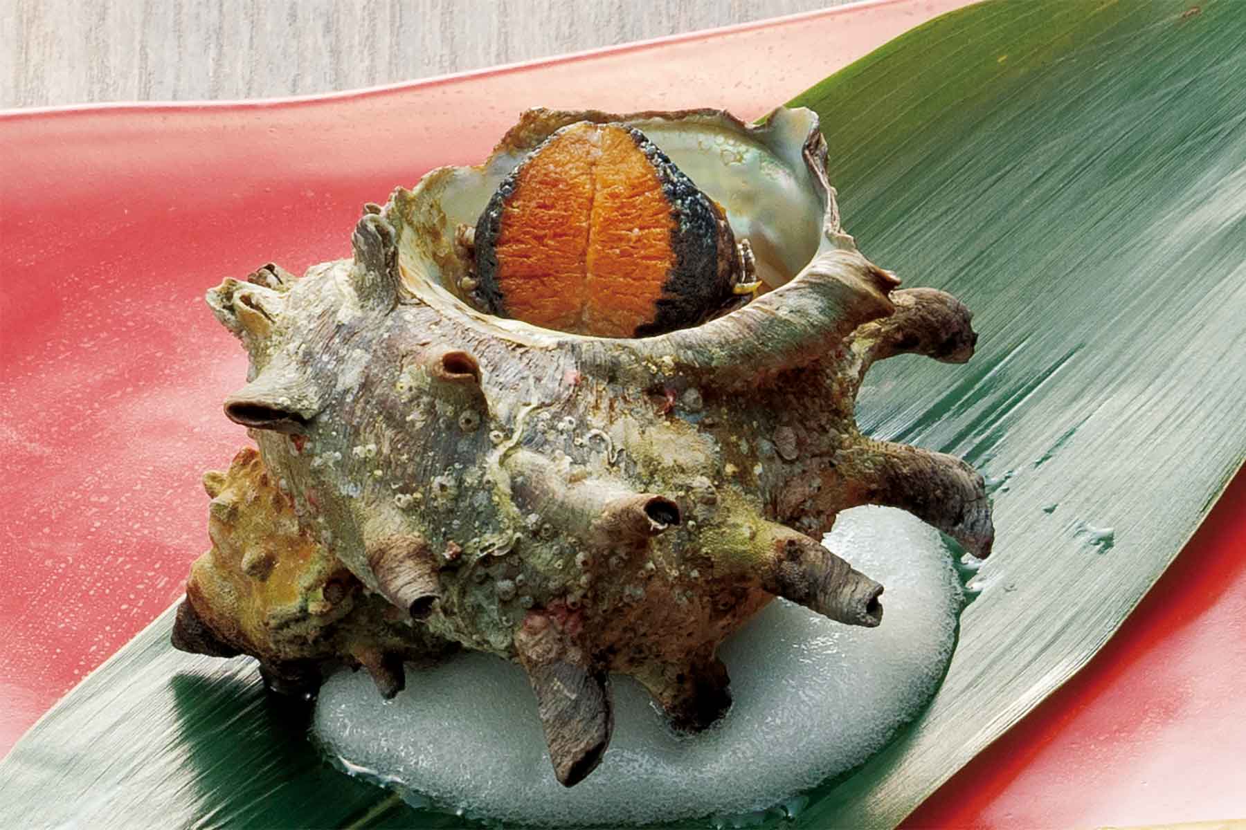 居酒屋メニュー - 海鮮・地どり 志な乃亭 天満橋店